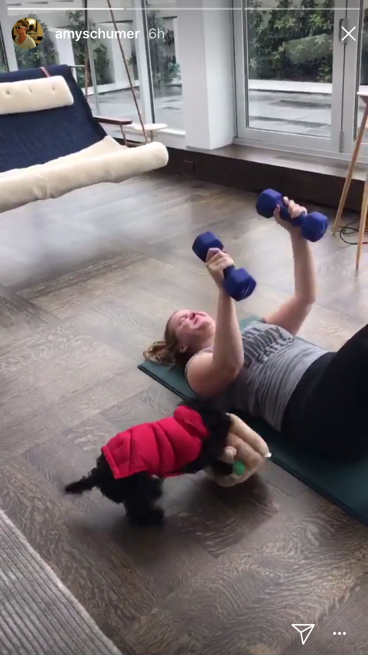 Amy Shumer's Dog Tati Adorably Helps Her Work Out | wfaa.com