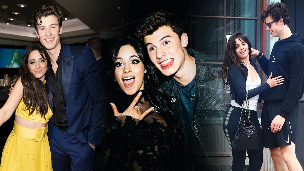 Shawn Mendes Hugging Fans