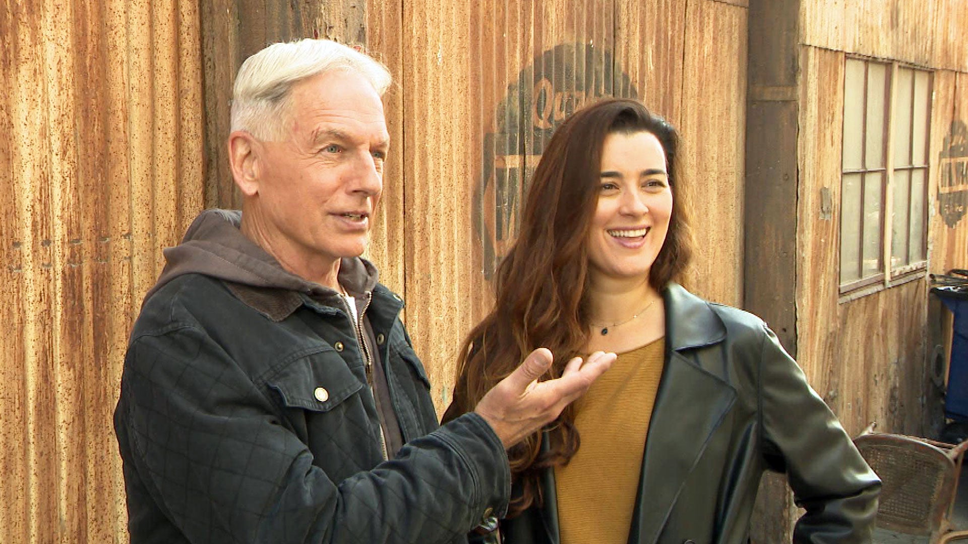 Cote De Pablo Mark Harmon