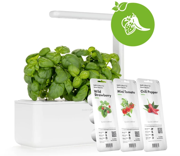 Best Products We Discovered During Quarantine -- HappyLight, Indoor ...