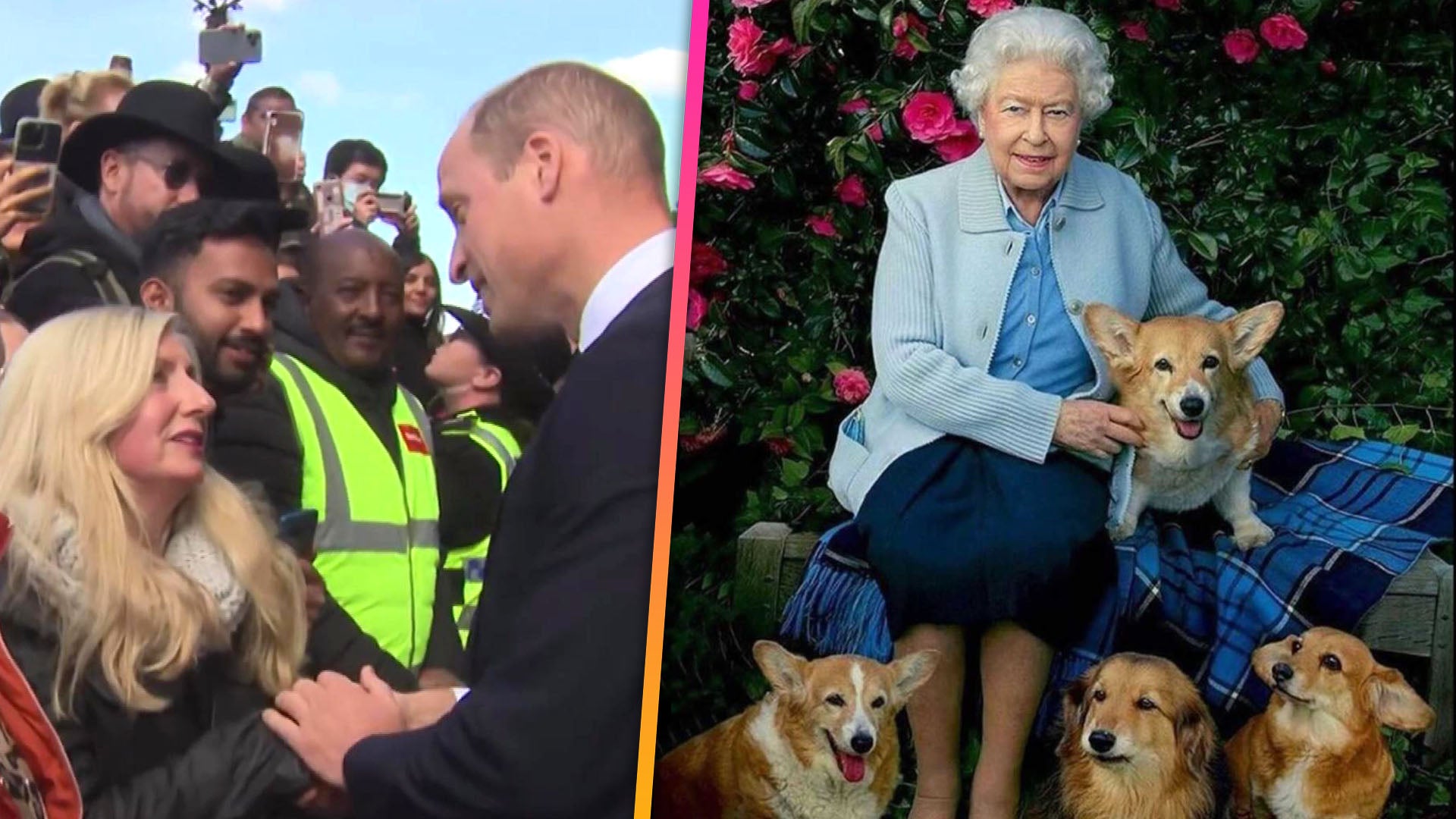 What Type Of Dogs Do The Queen Have