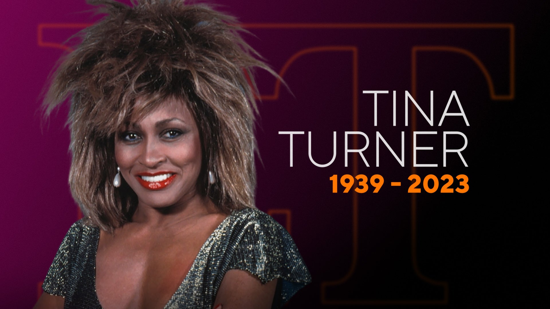 Tina Turner 2023