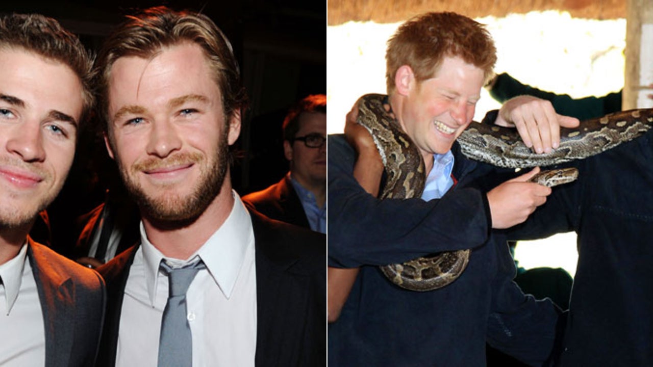 Brotherly Love: Your Guide to Hollywood's Most Famous Bros ...