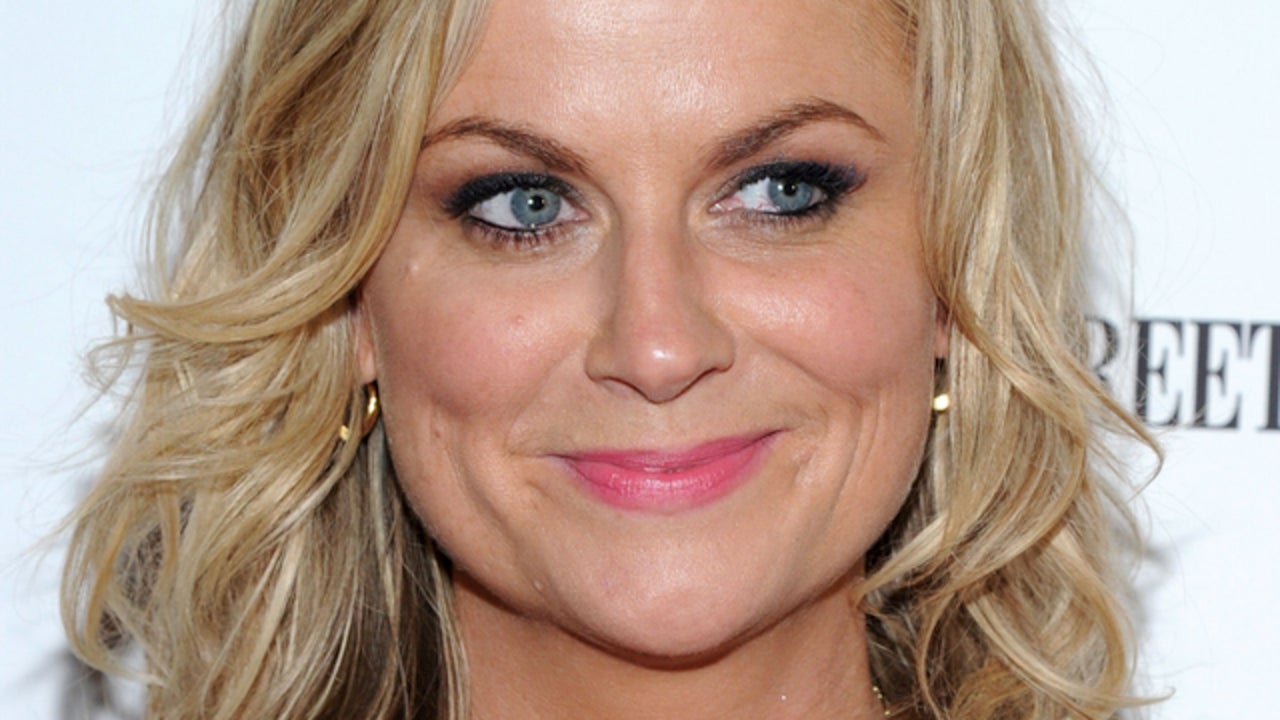 16 Reasons Amy Poehler Is the Most Inspirational, Badass, Awesome Lady ...