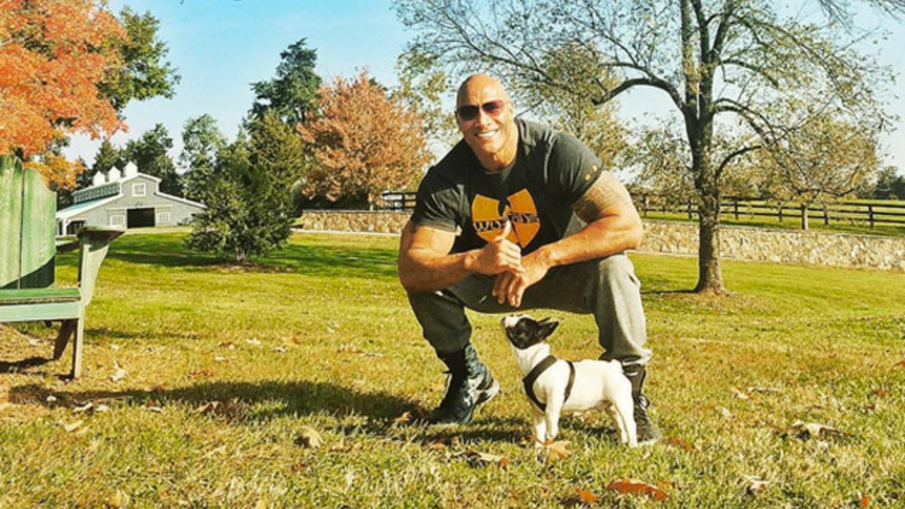 Dwayne 'The Rock' Johnson Donated $1,500 to Save a Puppy Named Dwayne ...
