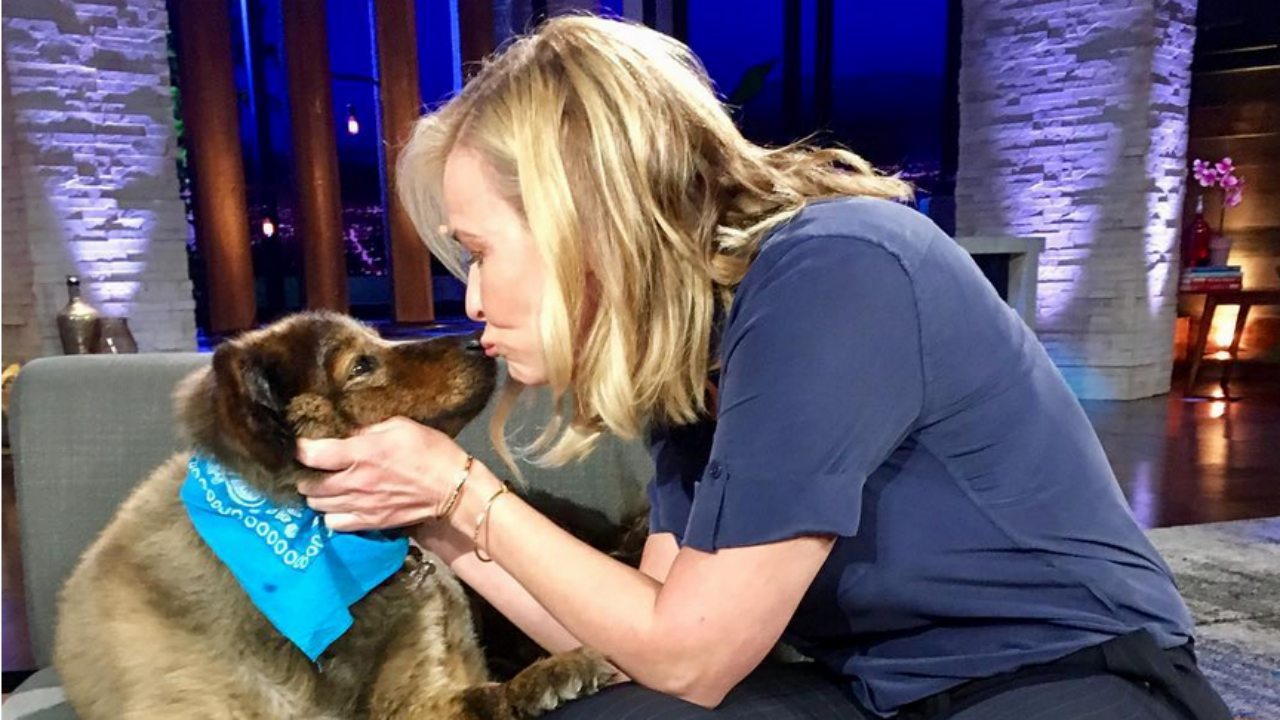 Chelsea Handler's Beloved Dog Tammy Dies: 'We Will Miss You Dearly ...