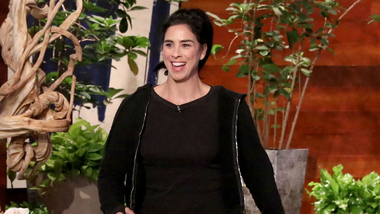 Sarah Silverman Met Her New Boyfriend Via a Video Game | Entertainment ...