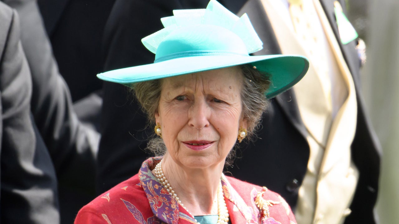 Princess Anne's Memory Loss Does Not Seem to Be Long-Term Following ...