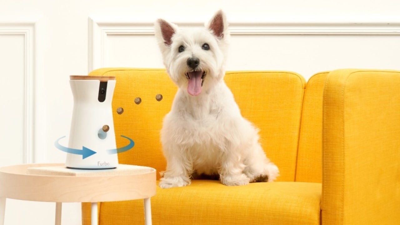 The Furbo 360° Dog Camera Is 45% Off at Amazon Right Now and It's ...