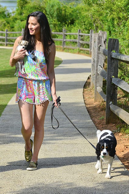 Stars and Their Adorable Pets | Entertainment Tonight