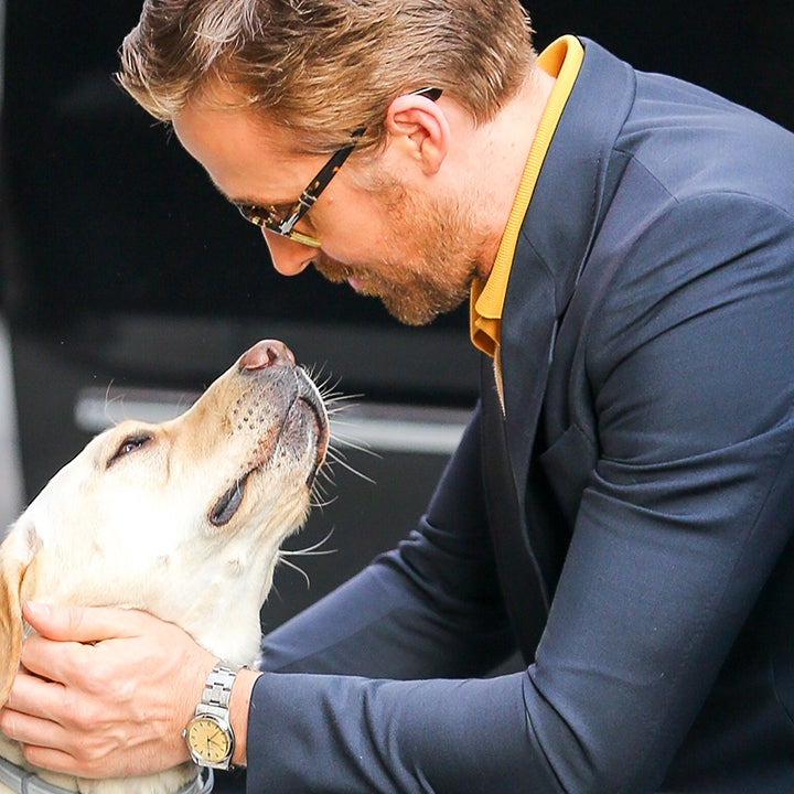 Ryan Gosling Dog
