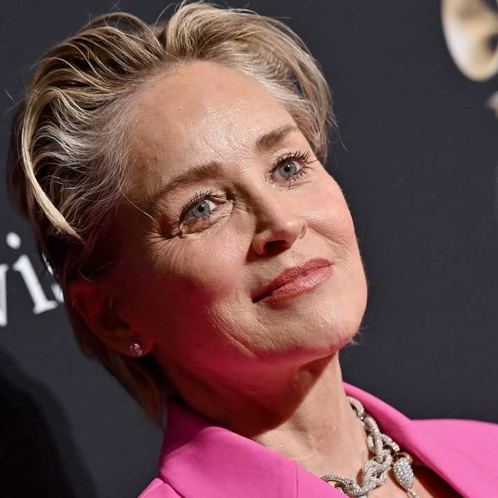 Sharon Stone Recalls the Impact 'Basic Instinct' Had on Her Custody ...