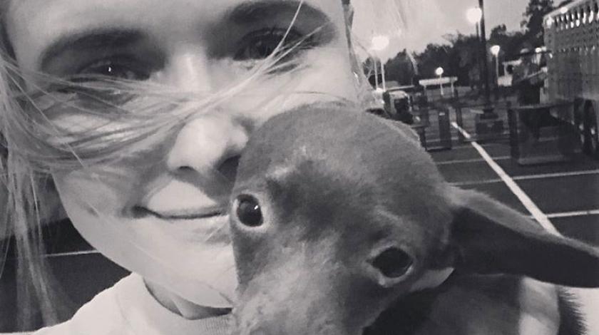 Miranda Lambert Helps Rescue Hundreds of Dogs & Pets Displaced by ...