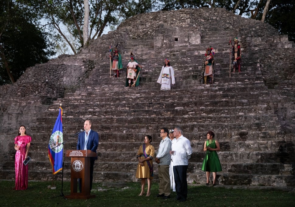 Kate Middleton Dazzles in Shimmering Pink Gown as Prince William Honors ...