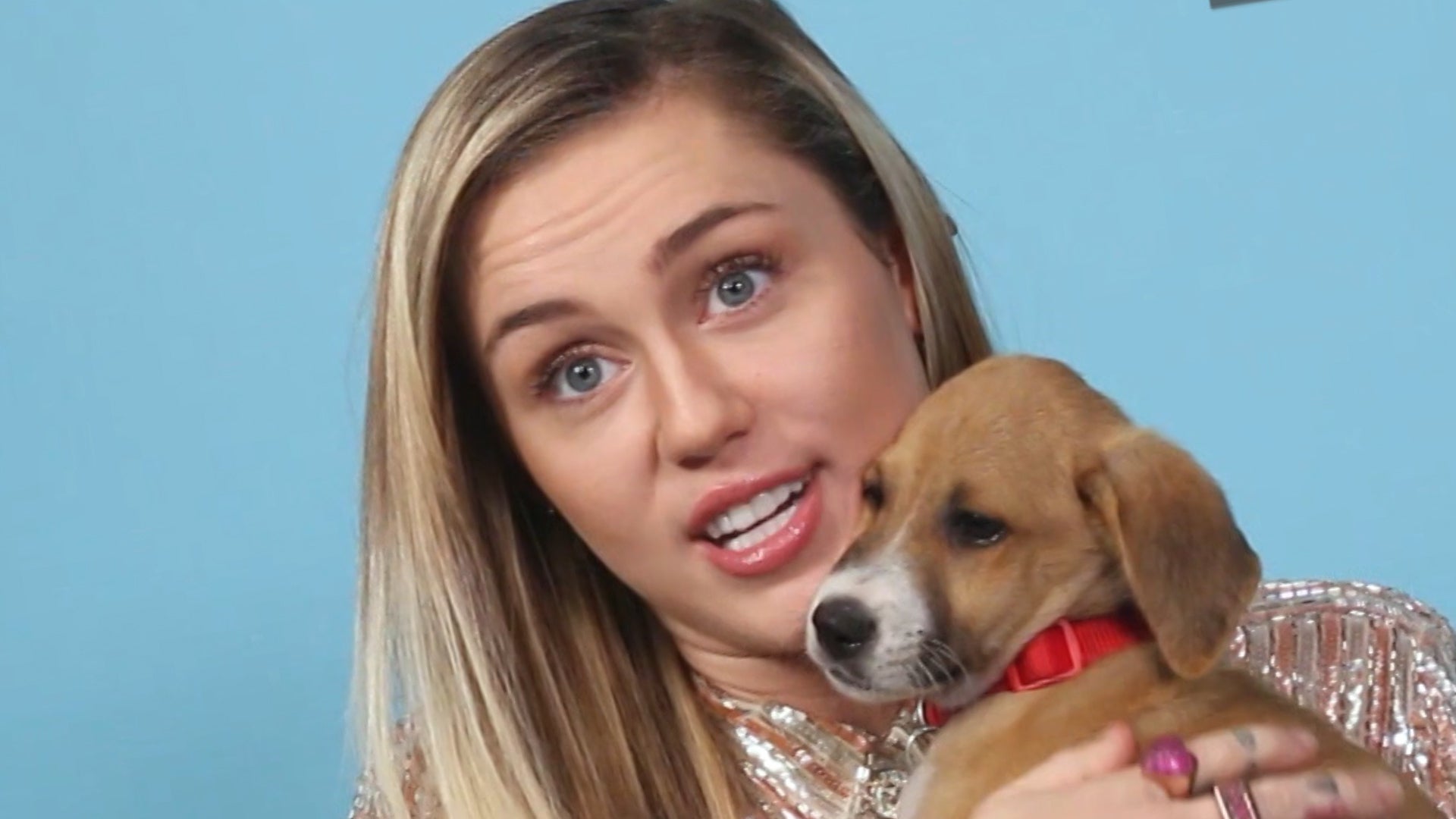 puppy interview miley