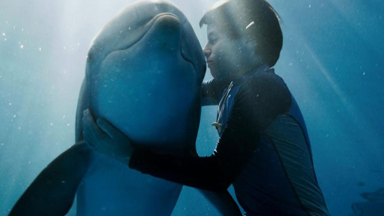 'Dolphin Tale' Reels Families into Theaters | Entertainment Tonight