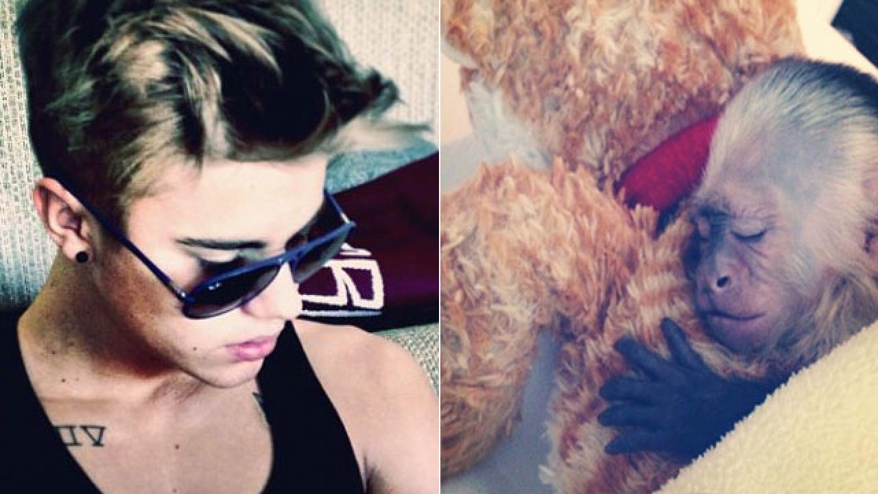 Bieber Ordered to Stop Monkey-ing Around | Entertainment Tonight