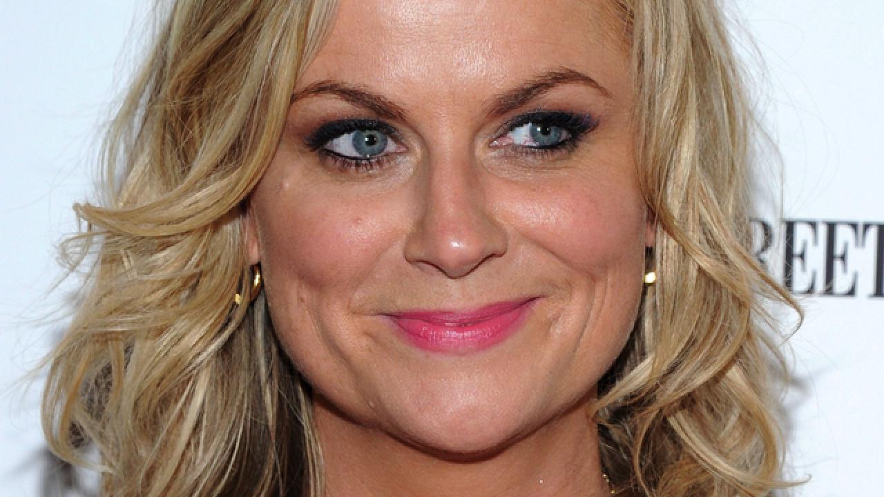 16 Reasons Amy Poehler Is the Most Inspirational, Badass, Awesome Lady ...