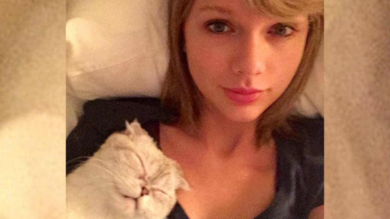 Taylor Swift Says Her Cat Owes Her $40 Million | Entertainment Tonight