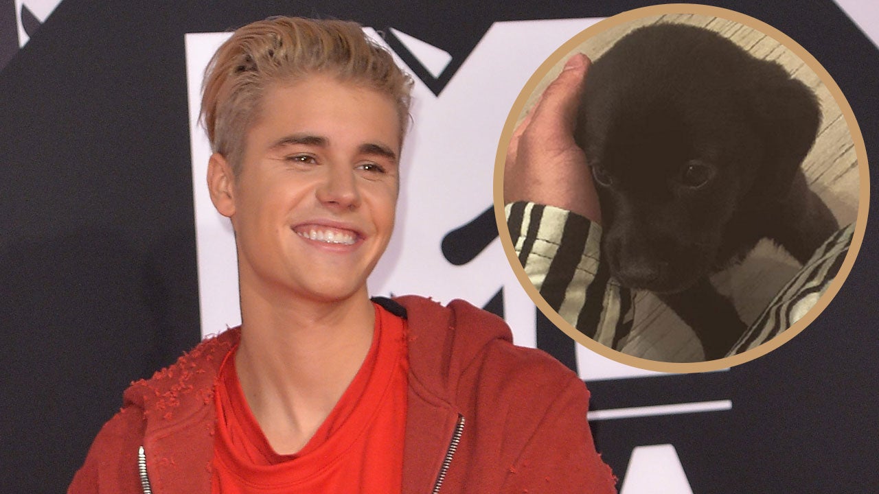Justin Bieber Just Got the Most Adorable New Puppy -- See the Pics ...