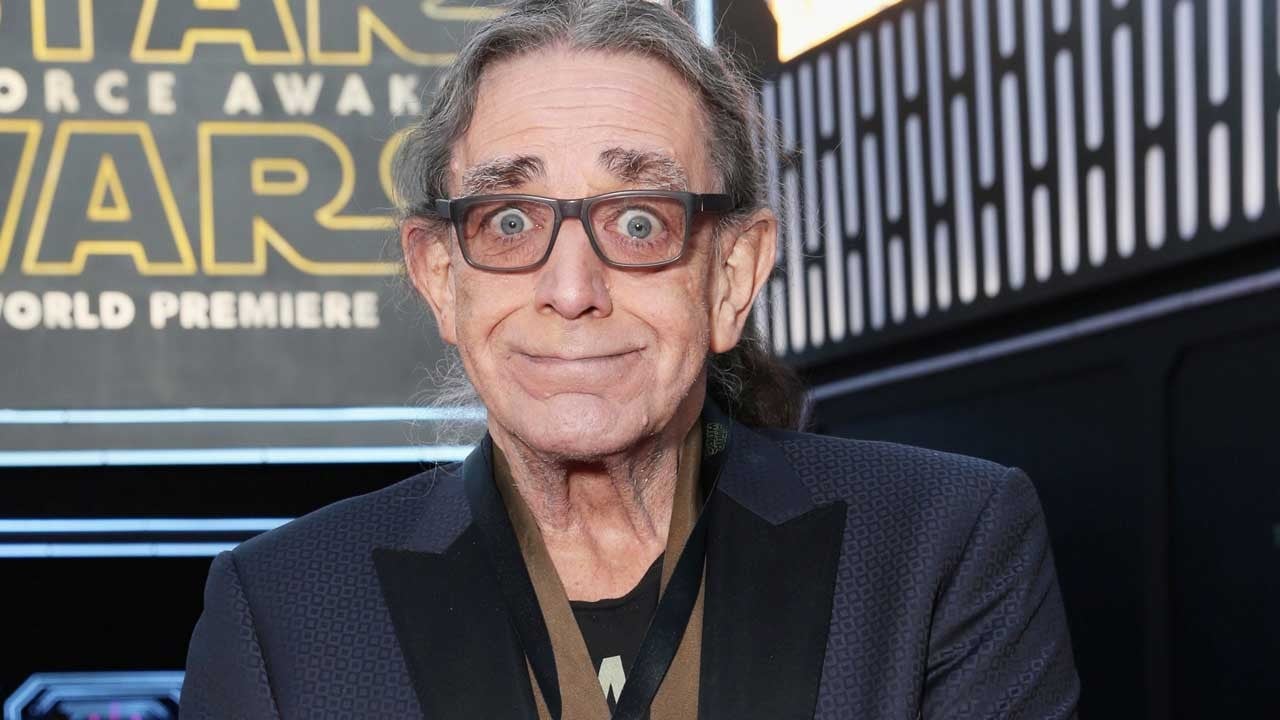 'Star Wars' Actor Peter Mayhew, Who Played Chewbacca, Dead at 74 After ...