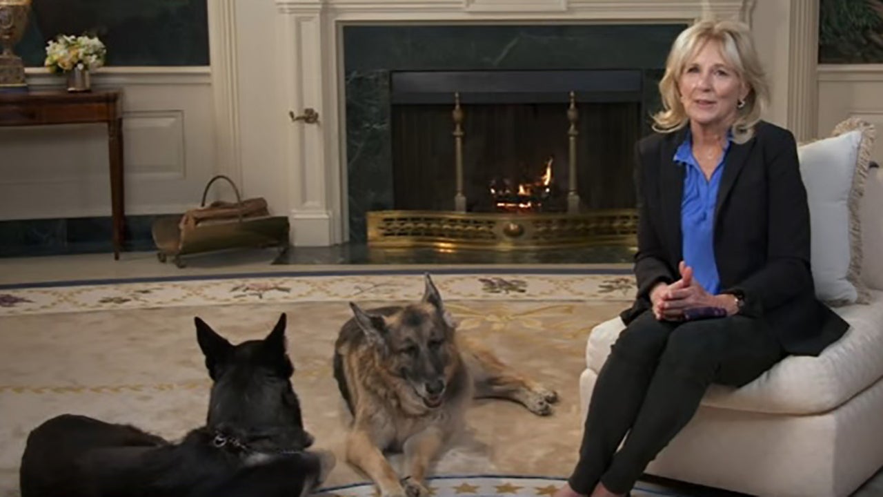 Jill Biden Records PSA for Puppy Bowl With First Dogs Champ and Major ...