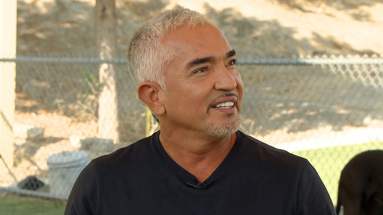Cesar Milan Reflects on Friendship with Jada Pinkett Smith and Training ...