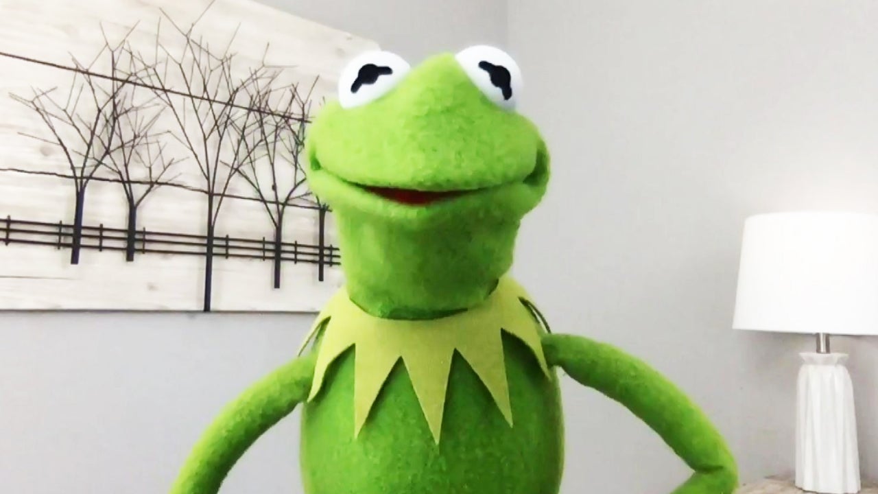 Kermit the Frog Gives Advice for Working With Your Ex After Miss Piggy ...