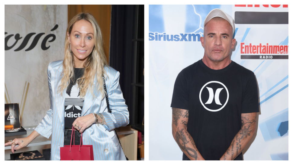 Tish Cyrus Rings in New Year With 'Prison Break' Star Dominic Purcell ...