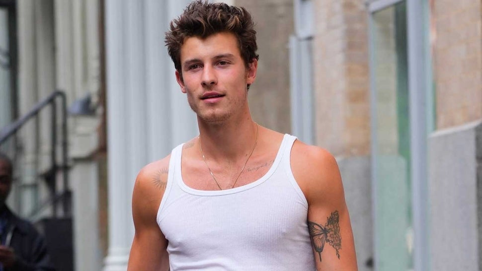 Shawn Mendes Drops New Single 'What The Hell Are We Dying For?' Amid ...