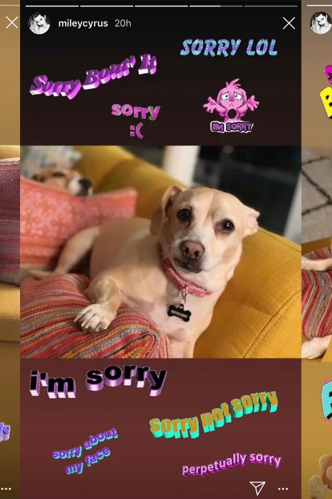 Paws Up! Celebs Show Off Their Precious Pets | Entertainment Tonight