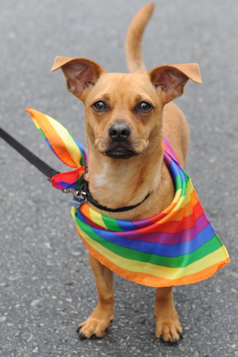 2016 Pride: Star Sightings! | Entertainment Tonight