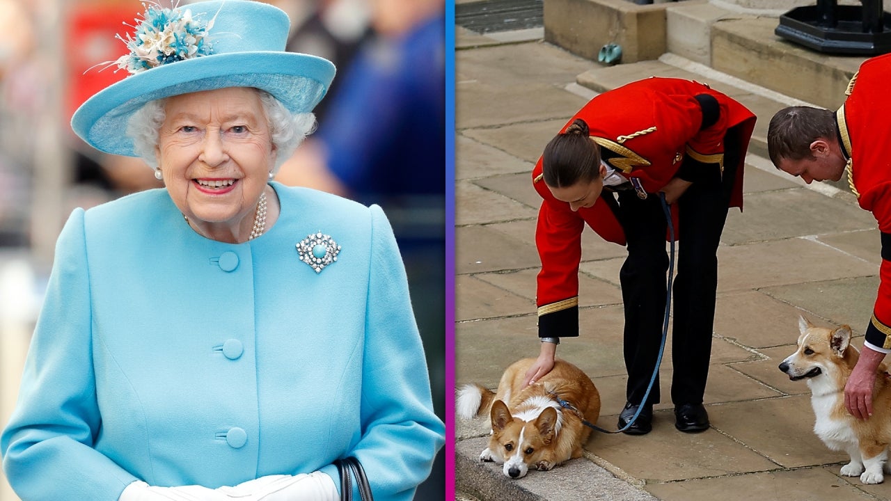 Queen Elizabeth II's Corgis Are Aware of Her Death, Trainer Dr. Roger ...
