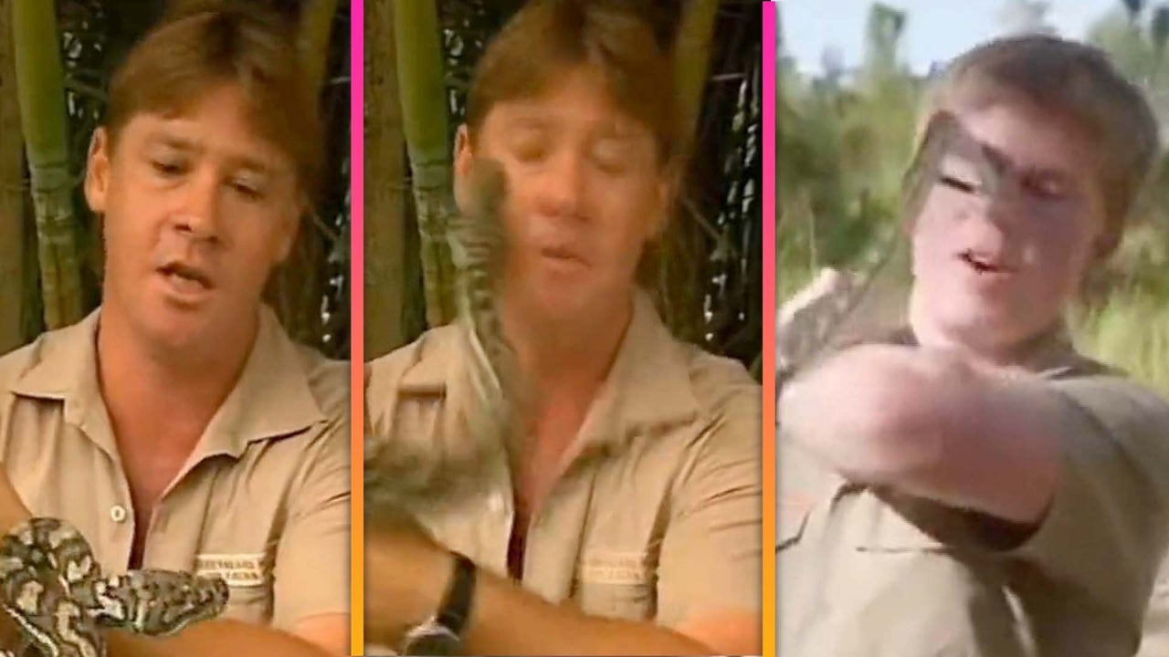 Robert Irwin Gets Bitten in the Face By Same Snake Species as Late Dad Steve in Lookalike Moment ...
