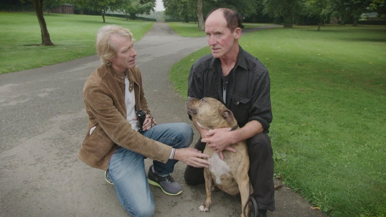 Michael Bay Gives 'World's Loneliest Dog' A Role in 'Transformers 5'