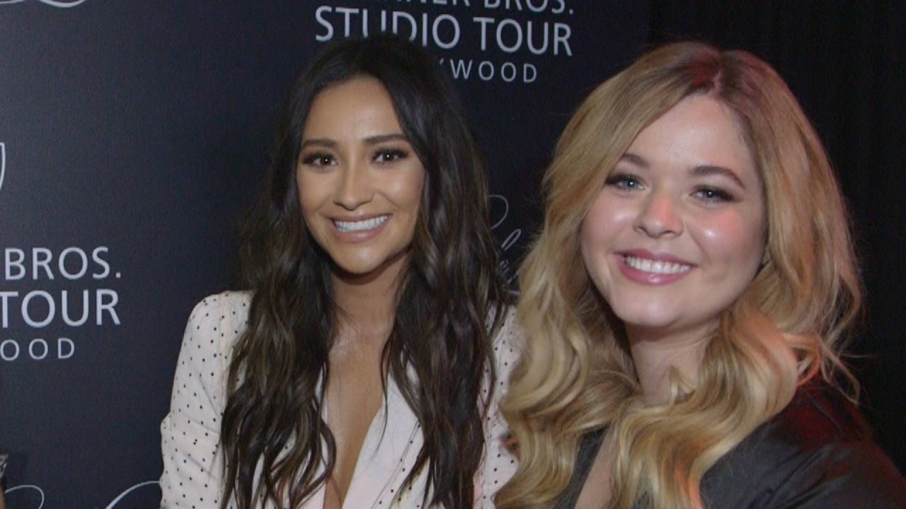 sasha mitchell wives