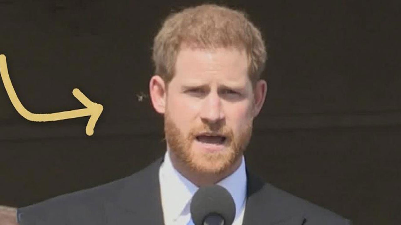 Watch Meghan Markle Giggle as Prince Harry Is Attacked by a Bee at ...