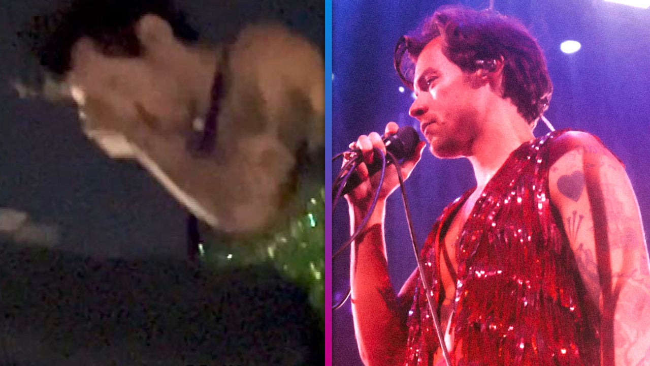 Harry Styles Gets Hit in the Eye With an Unknown Object During ...