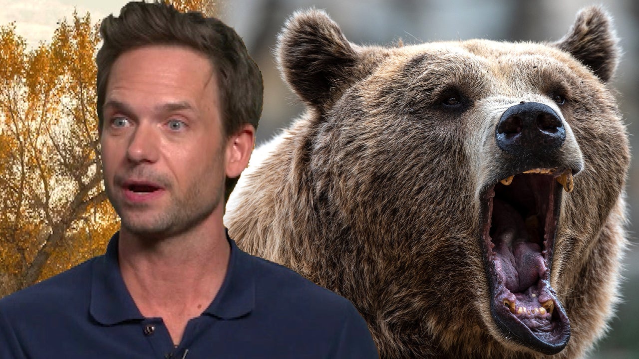 Patrick J. Adams Shares ‘Very Scary’ Bear Encounter Near 'The Madison ...